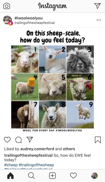 Sheep Scale 1-9 Meme | Wool For Every Day – Wool for Every Day