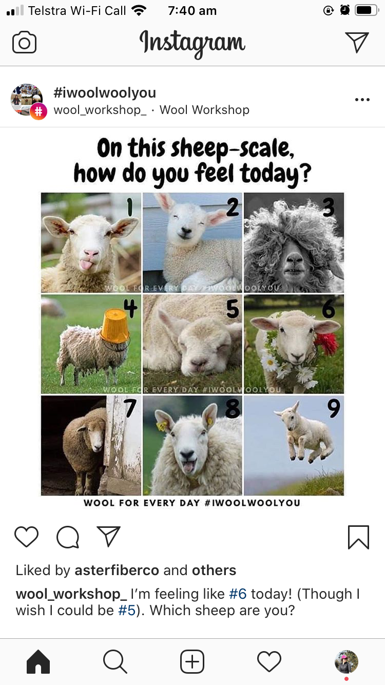 Sheep Scale 1-9 Meme | Wool For Every Day – Wool for Every Day