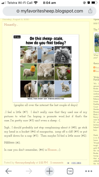 Sheep Scale 1-9 Meme | Wool For Every Day – Wool for Every Day