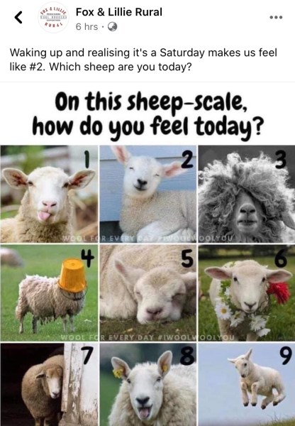 Sheep Scale 1-9 Meme | Wool For Every Day – Wool for Every Day